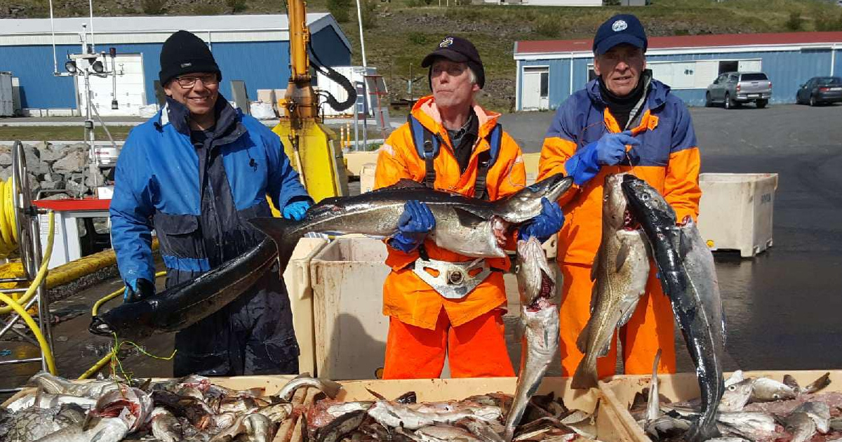 Sjól - Aðalmót SJÓR 7.-8. júní 2024